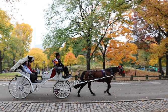 Romantic/Proposal Central Park Carriage Tour (Up to 4 Adults) - FAQ