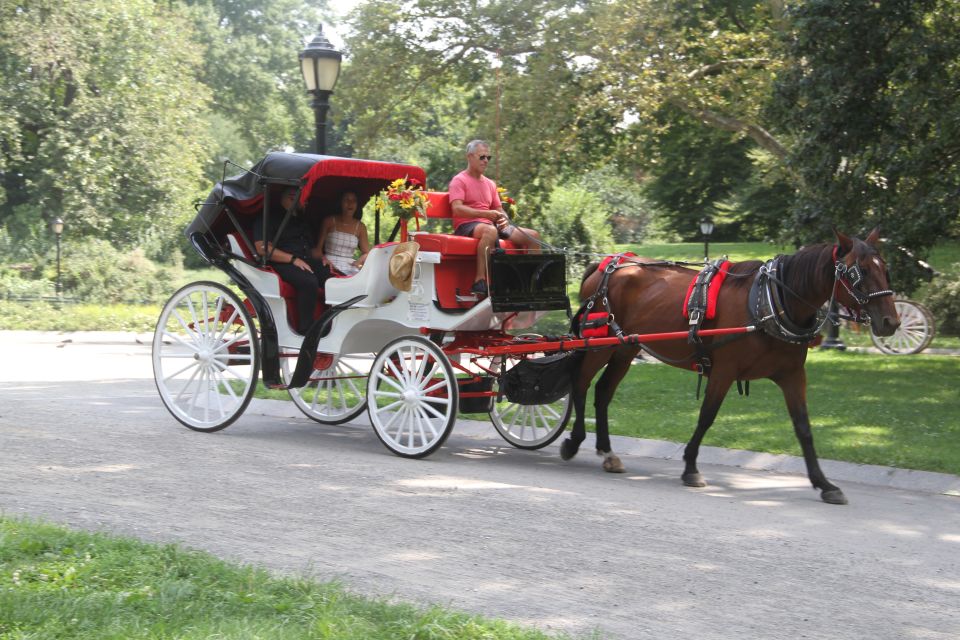 Romantic/Proposal Central Park Carriage Tour Up to 4 Adults - Why Choose This Central Park Carriage Tour?