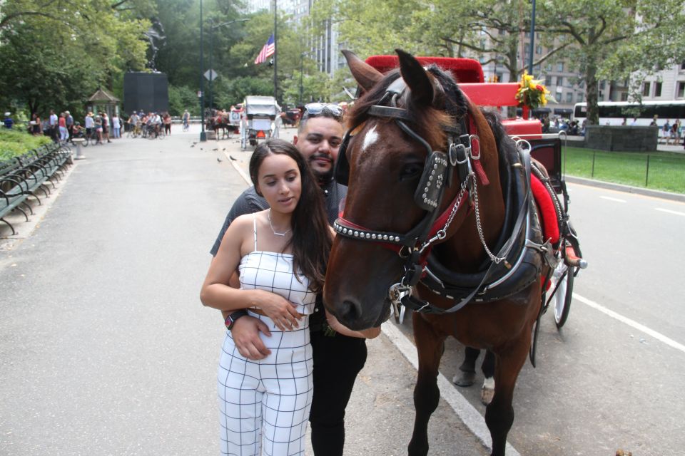 Romantic/Proposal Central Park Carriage Tour Up to 4 Adults - The Experience as Described by Reviewers
