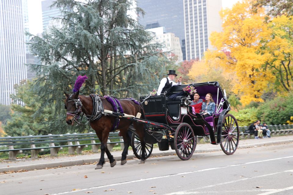 Romantic/Proposal Central Park Carriage Tour Up to 4 Adults - Cost and Value