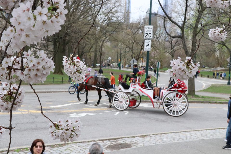 Romantic/Proposal Central Park Carriage Tour Up to 4 Adults - Is This Tour Right for You?