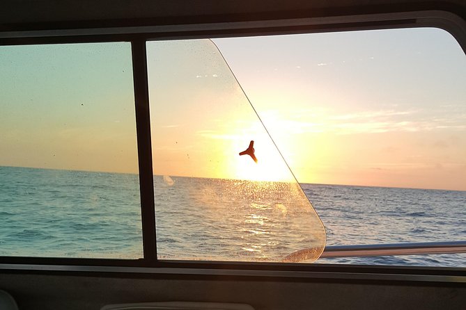 Romantic Wine and Cheese Boat Tower Cruise - Starting Point and Duration