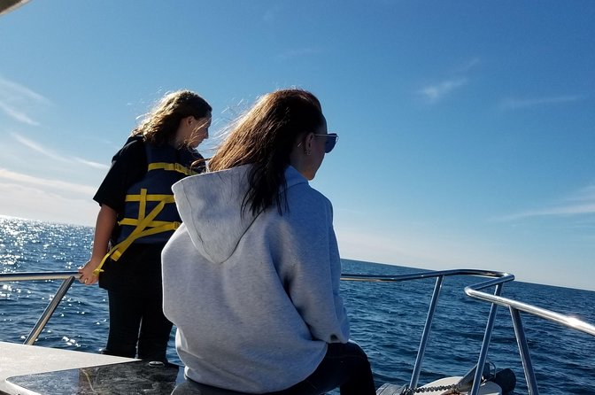 Romantic Wine and Cheese Boat Tower Cruise - The Itinerary: What to Expect