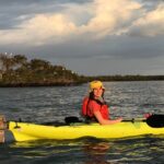 Rookery Bay Beginner Kayak Tour - Why Choose This Tour?