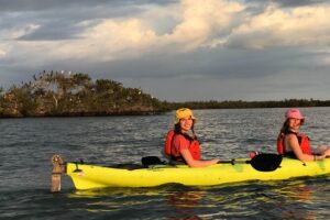 Rookery Bay Beginner Kayak Tour