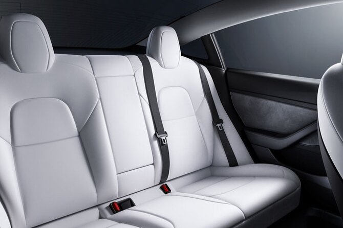 Round trip Private Transfer Las Vegas Airport LAS by Eco Sedan - Who Should Book This Transfer?