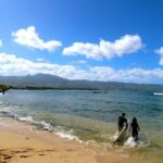Roundtrip Shuttle From Waikiki to Dole Plantation & Haleiwa Town - Who is this tour best suited for?