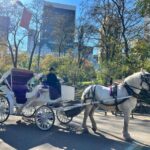 Royal Carriage Ride in Central Park NYC - Who Is This Tour For?