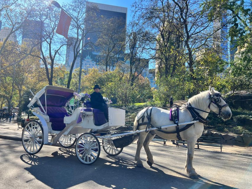 Royal Carriage Ride in Central Park NYC - Who Is This Tour For?