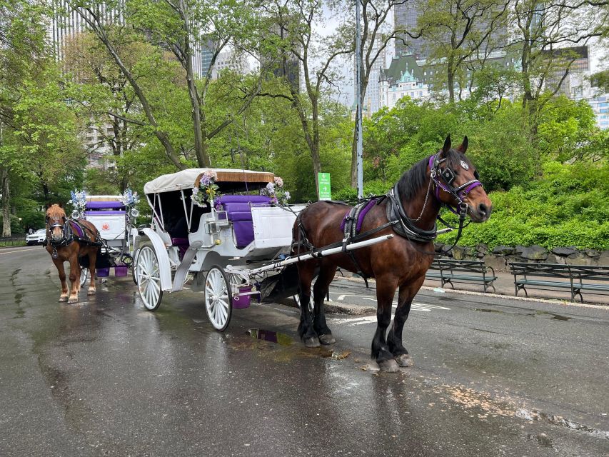 Royal Carriage Ride in Central Park NYC - FAQs
