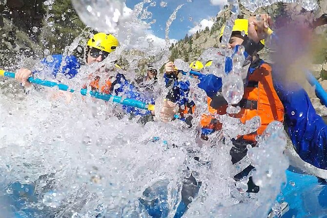 Royal Gorge Full Day Rafting - Why This Trip Offers Great Value