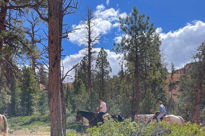 Ruby's Horseback Adventures All Day Ride - Key Points