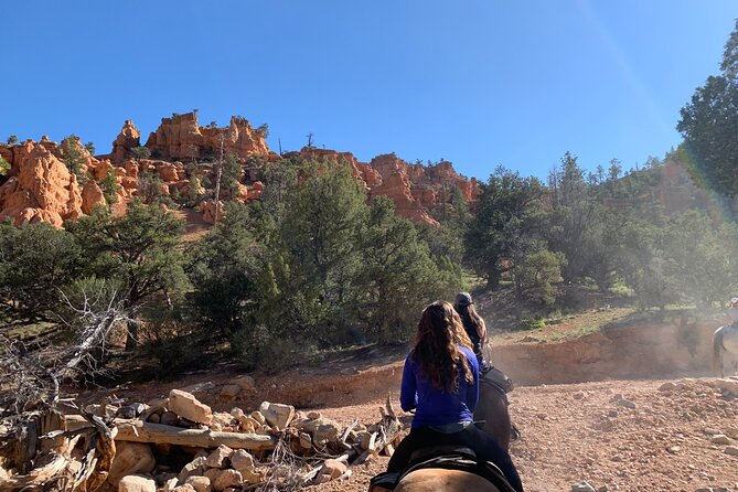 Ruby's Horseback Adventures Utah Half Day Ride - Key Points