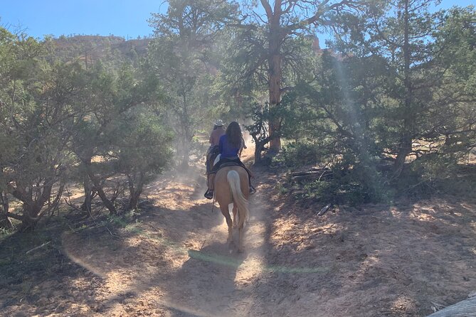 Ruby's Horseback Adventures Utah Half Day Ride - Authentic Experiences and Tips from Reviewers
