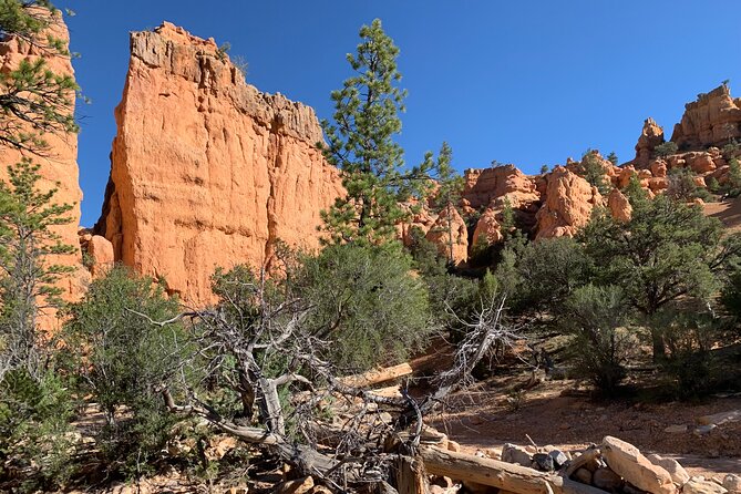 Ruby's Horseback Adventures Utah Half Day Ride - Final Thoughts: Is It Worth It?