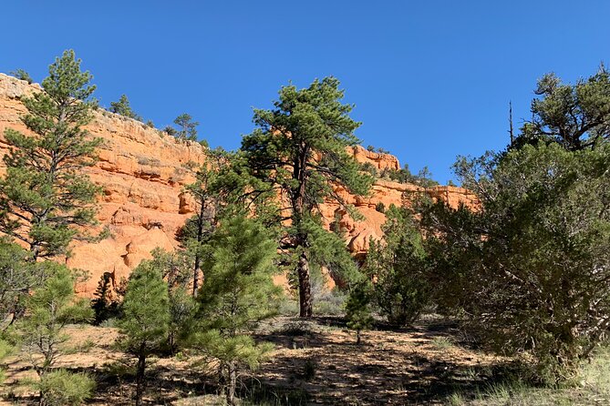 Ruby's Horseback Adventures Utah Half Day Ride - FAQ