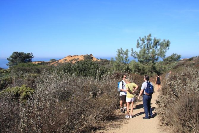 Runyon Canyon Hiking Tour - Practical Details and Considerations