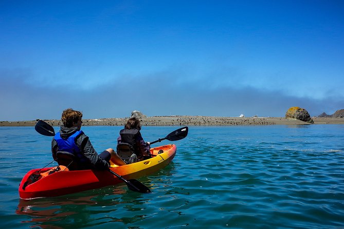 Russian River Kayak Tour at the Beautiful Sonoma Coast - What to Expect on the Sonoma Coast Kayak Tour