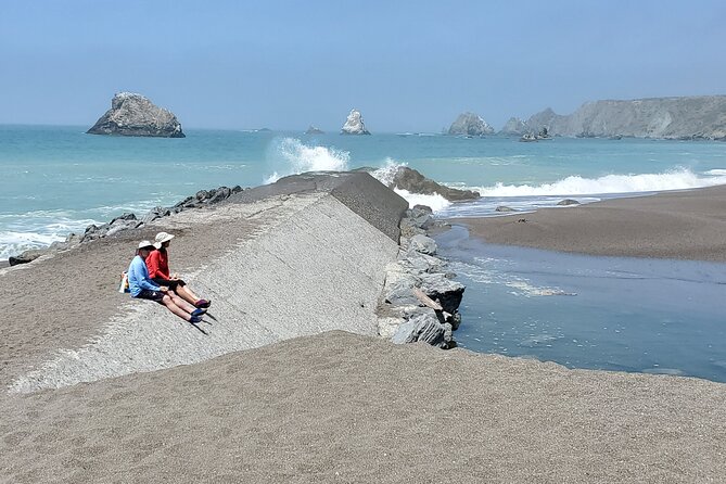 Russian River Kayak Tour at the Beautiful Sonoma Coast - Who Should Book This Tour?