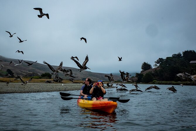 Russian River Kayak Tour at the Beautiful Sonoma Coast - Frequently Asked Questions