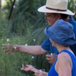 Ruth Bancroft Garden General Admission Ticket - What to Expect from Your Visit