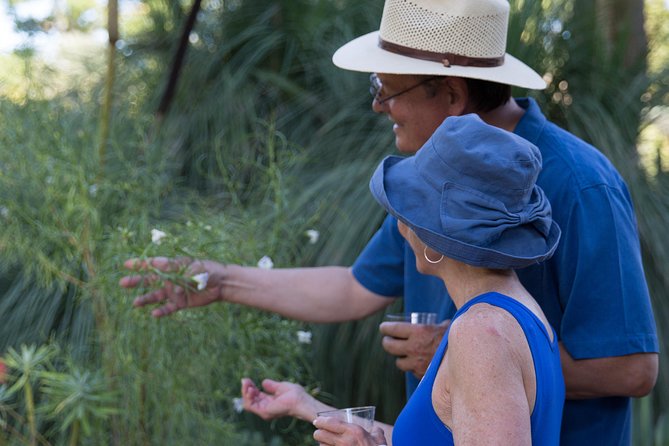 Ruth Bancroft Garden General Admission Ticket - What to Expect from Your Visit