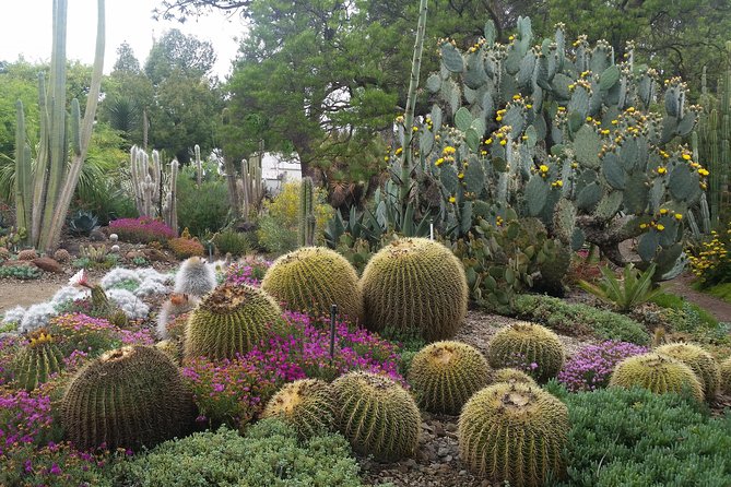 Ruth Bancroft Garden General Admission Ticket - Practical Details & Accessibility