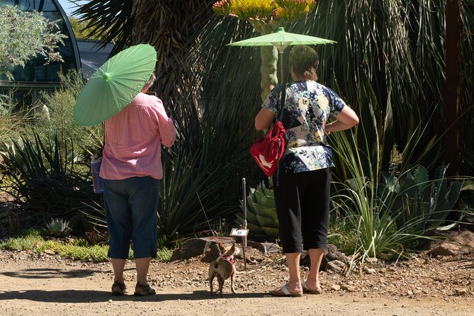 Ruth Bancroft Garden General Admission Ticket - Final Thoughts: Who Will Love This Garden?