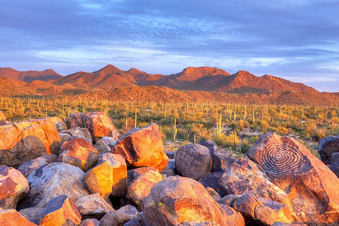 Saguaro National Park Self-Guided Audio Tour - An Overview of the Tour