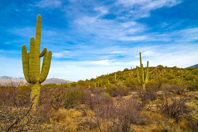Saguaro NP and Mt. Lemmon Self Guided Driving Audio Tour Bundle - Discover the Beauty of Tucson’s Desert and Mountain Landscape with the Saguaro NP and Mt. Lemmon Self-Guided Driving Audio Tour Bundle