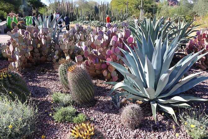 Saguaro NP and Mt. Lemmon Self Guided Driving Audio Tour Bundle - Key Points