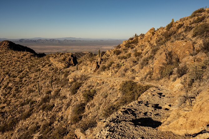 Saguaro NP and Mt. Lemmon Self Guided Driving Audio Tour Bundle - The Sum Up