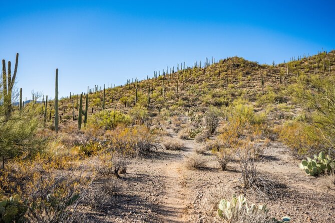 Saguaro NP and Mt. Lemmon Self Guided Driving Audio Tour Bundle - FAQ