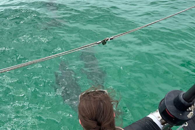 Sailing Adventures 3-Hour Activity in Destin - Final Thoughts