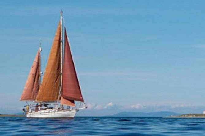 Sailing Charter - The Experience as Reported by Guests