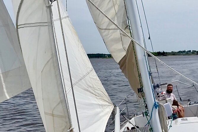 Sailing Charters in Wilmington - Why This Tour Is Worth Considering