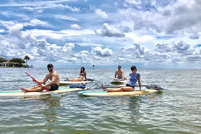 Saint Petersburg Paddle Board Tour - The Value of the Saint Petersburg Paddle Board Tour