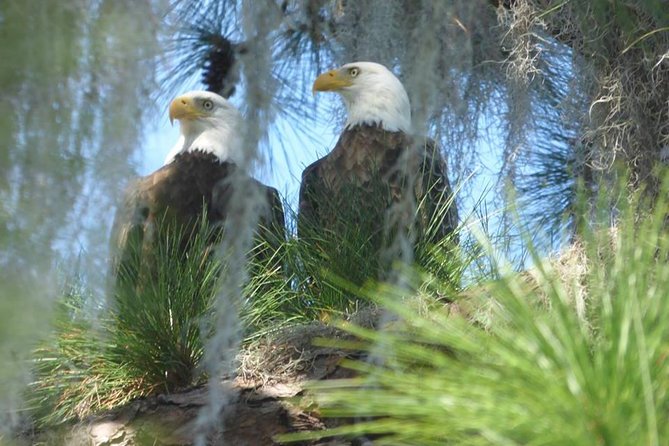 Saint Petersburg Preserve Bike Tour - Final Thoughts