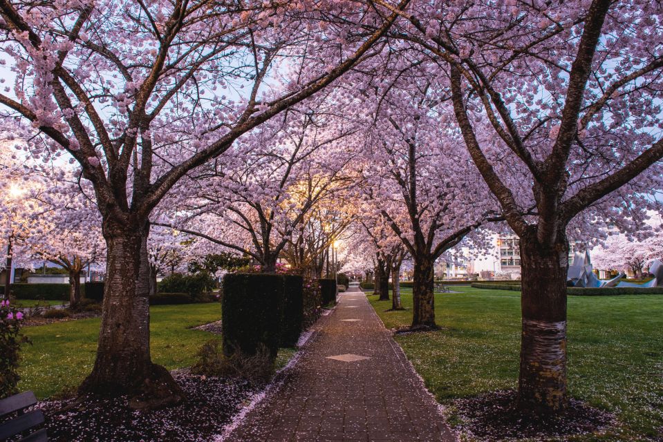 Salem: Witch Trial Walking Tour - Key Points