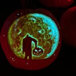 Salem's only Jack - O' - Lantern Festival - Authentic Experiences from Visitors