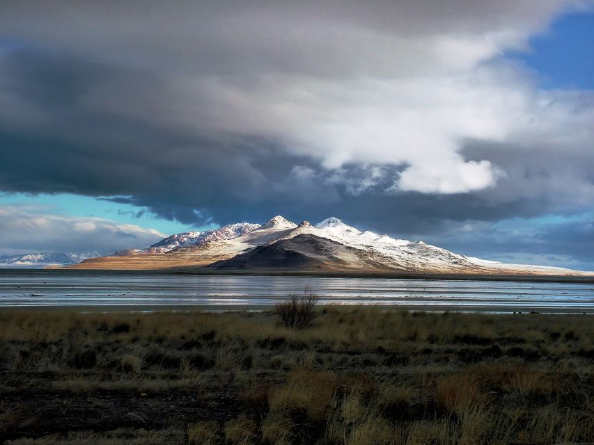 Salt Lake City: Great Salt Lake Antelope Island Guided Tour - Who Should Consider This Tour?
