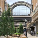Salt Lake City Walking Tour - Practical Aspects: Timing, Group Size, and Accessibility