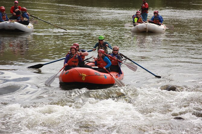Salt River Half-Day Whitewater Rafting Adventure - Final Thoughts