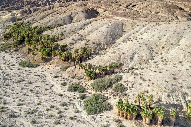San Andreas Fault Jeep Tour from Palm Springs - Key Points