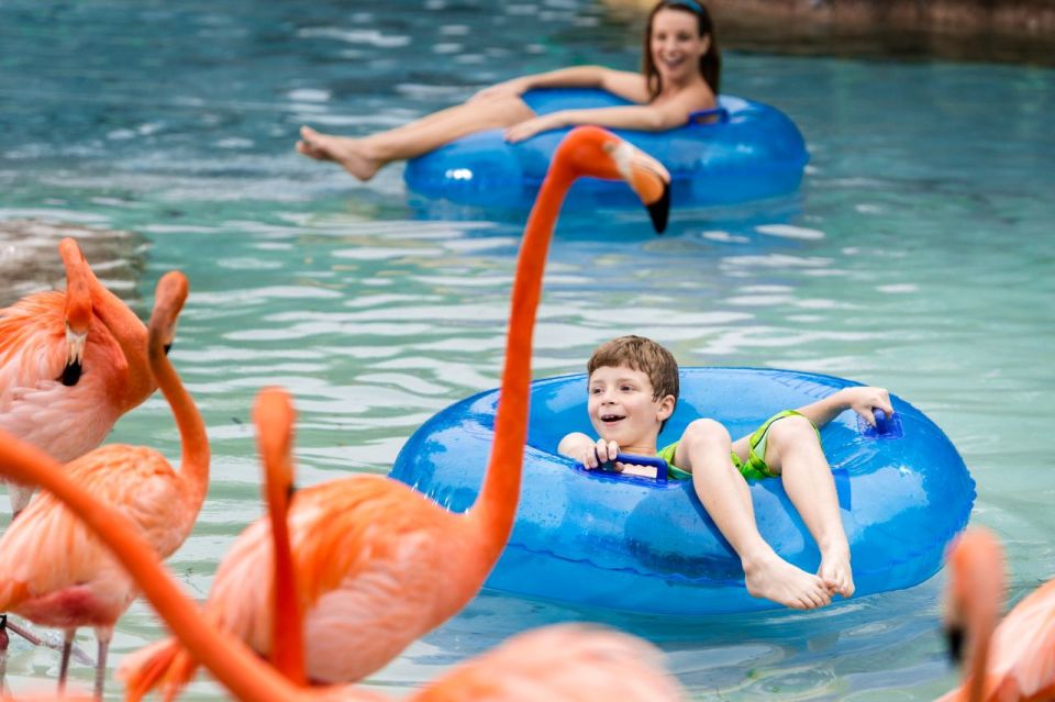 San Antonio: Aquatica Skip-the-Line Park Admission Ticket - Authentic Experiences and Review Highlights