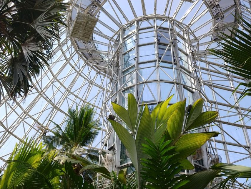 San Antonio CityPASS®: Save up to 51% on 4 Top Attractions - What are the Included Attractions?