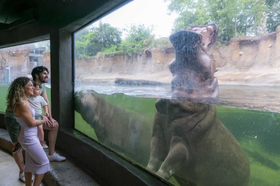 San Antonio CityPASS®: Save up to 51% on 4 Top Attractions - Final Thoughts