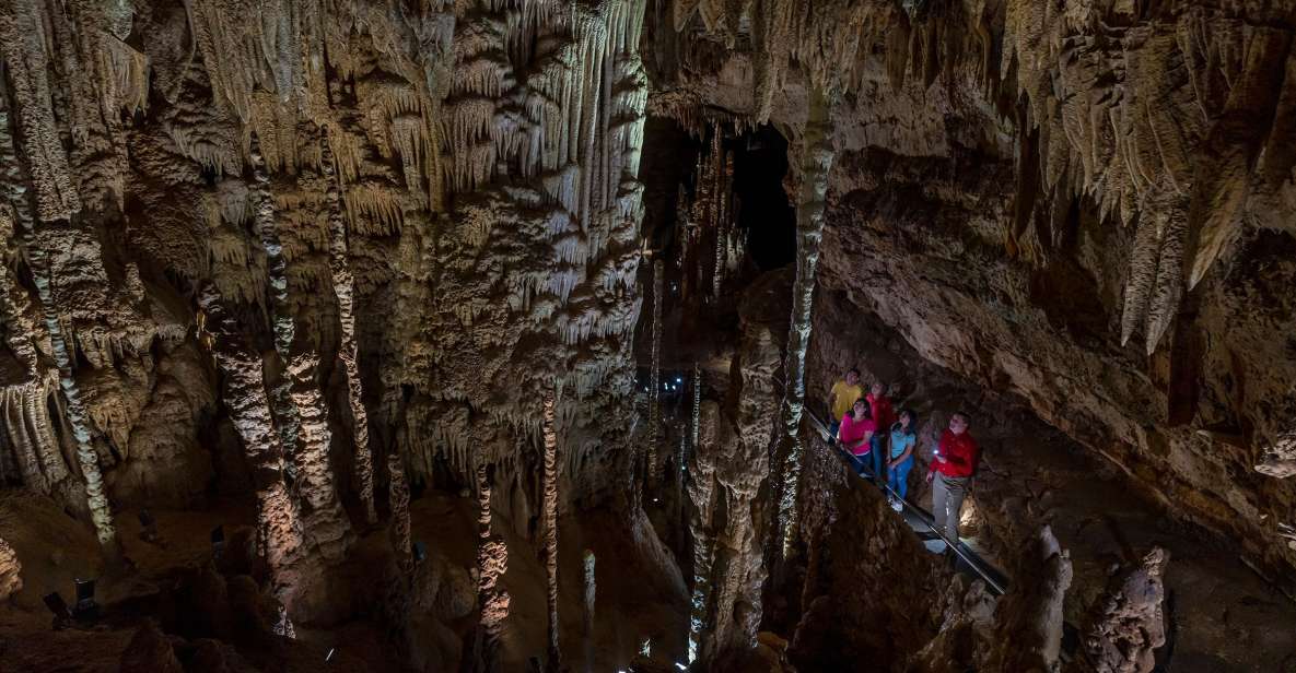 San Antonio: Discovery Tour at Natural Bridge Caverns - A Deep Dive into the Tour Experience