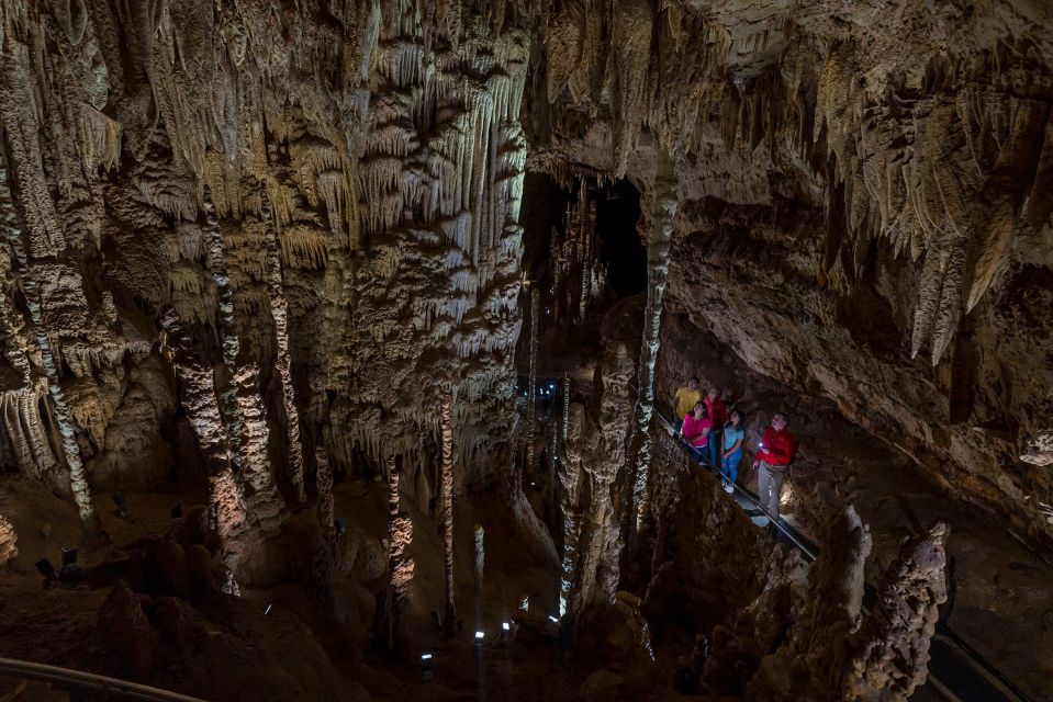 San Antonio: Discovery Tour at Natural Bridge Caverns - Who Should Consider This Tour?