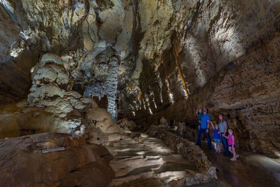 San Antonio: Discovery Tour at Natural Bridge Caverns - Frequently Asked Questions (FAQ)